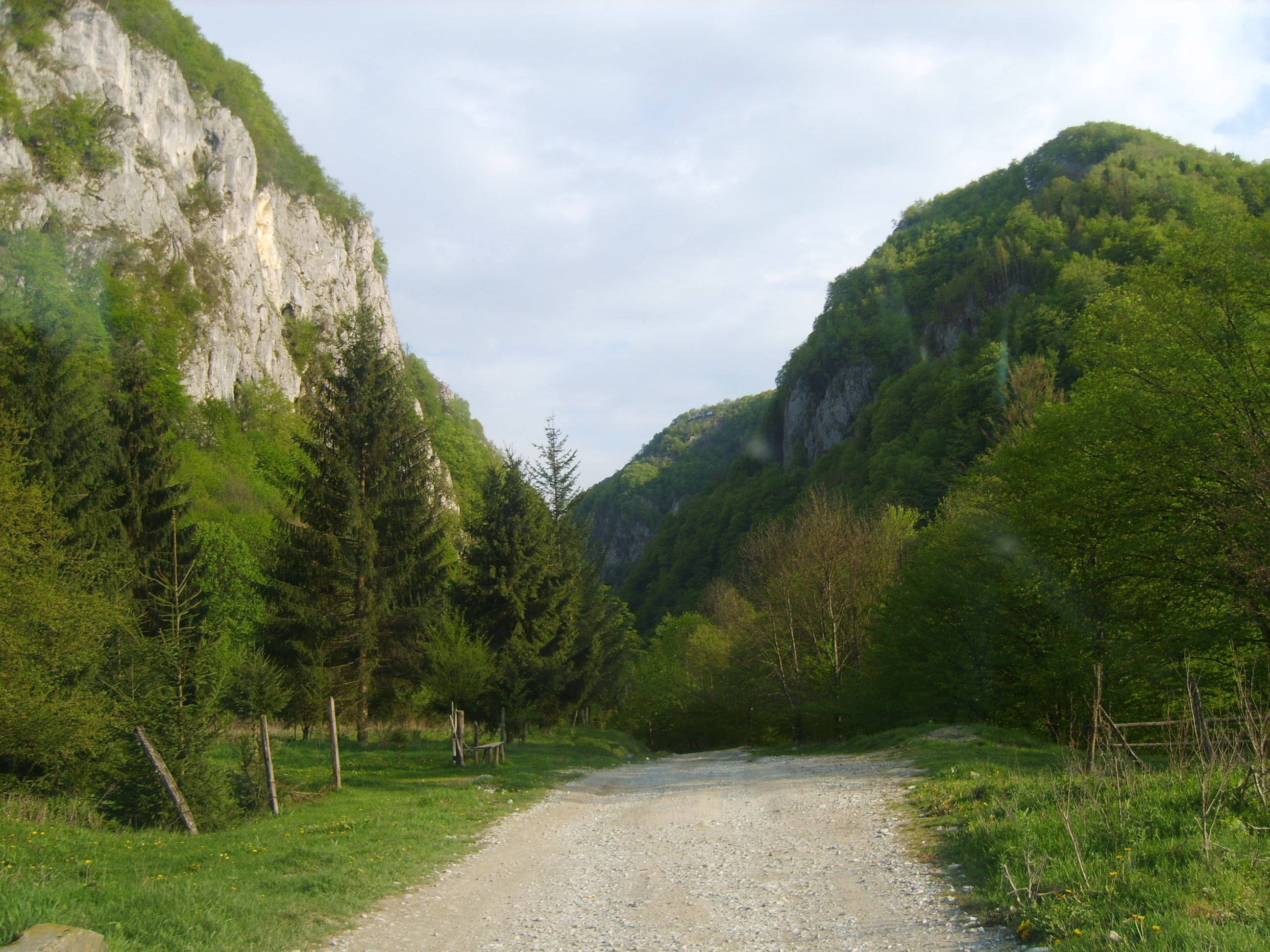 Cheile Oltetului | Obiective turistice de văzut și vizitat