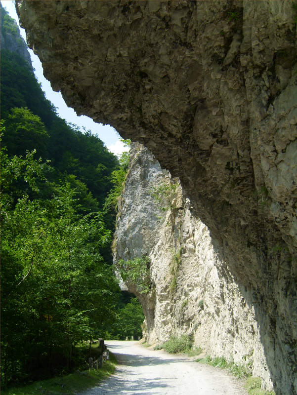 Cheile Oltetului | Obiective turistice de văzut și vizitat