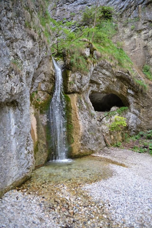 Castelul Macea | Obiective turistice de văzut și vizitat
