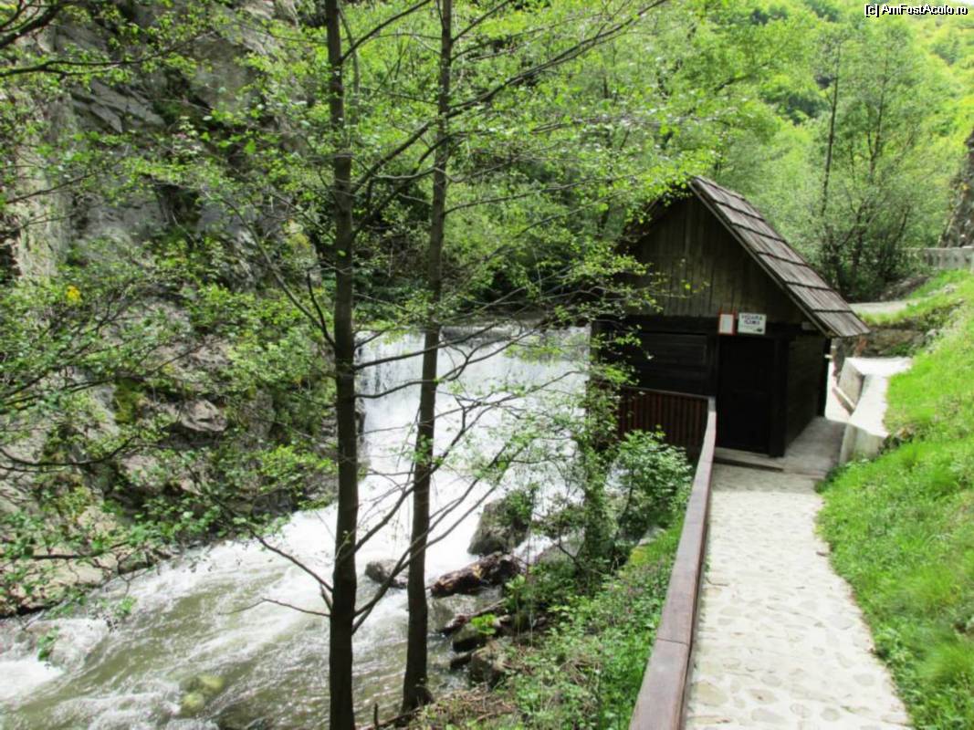 Parcul cu mori de apa de la Eftimie Murgu | Obiective turistice de ...
