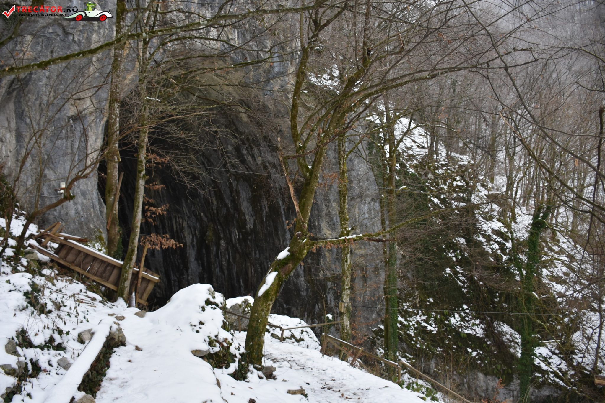 Pestera Meziad | Obiective turistice de văzut și vizitat