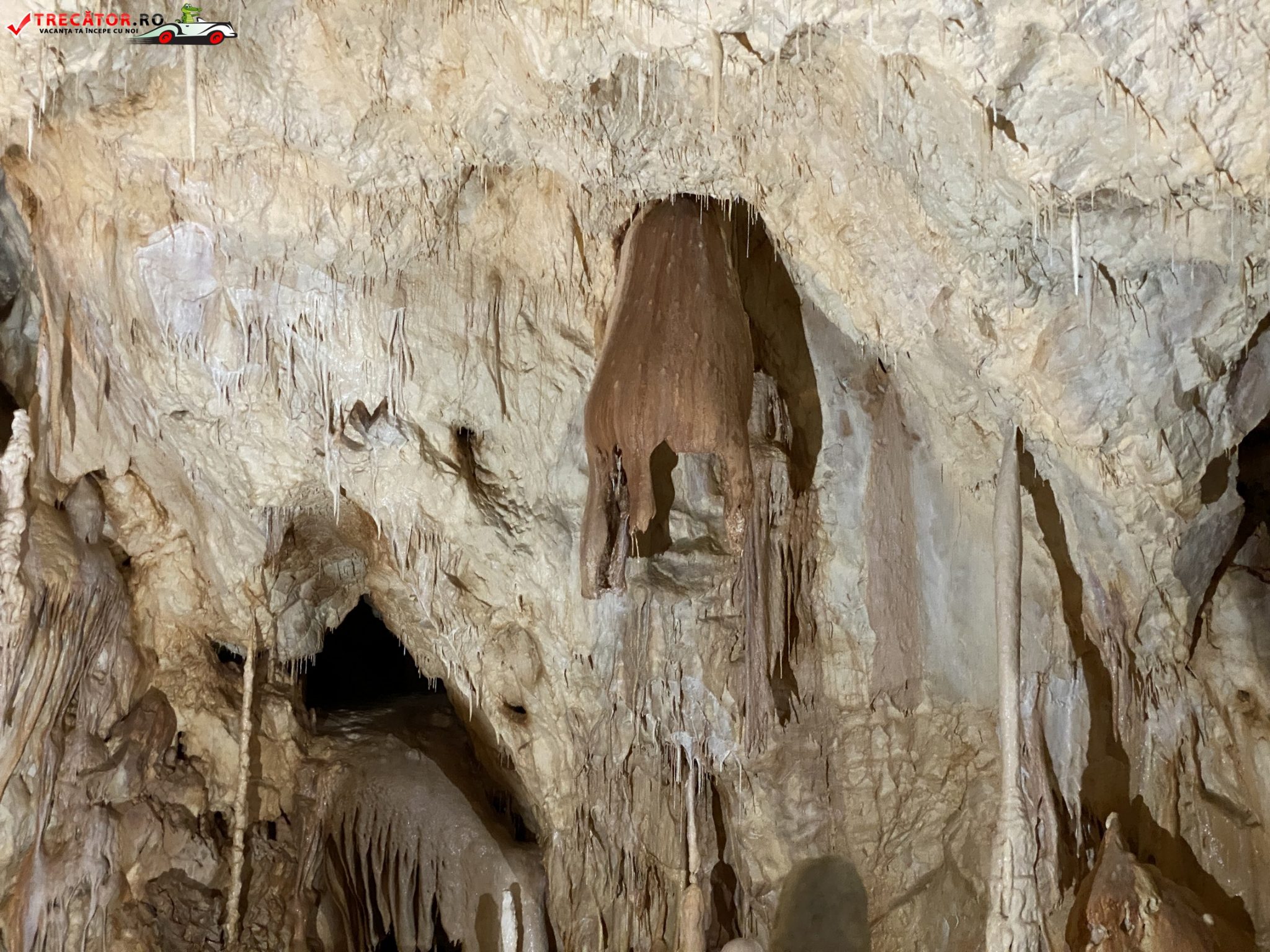 Pestera Ursilor – Obiective turistice de văzut și vizitat