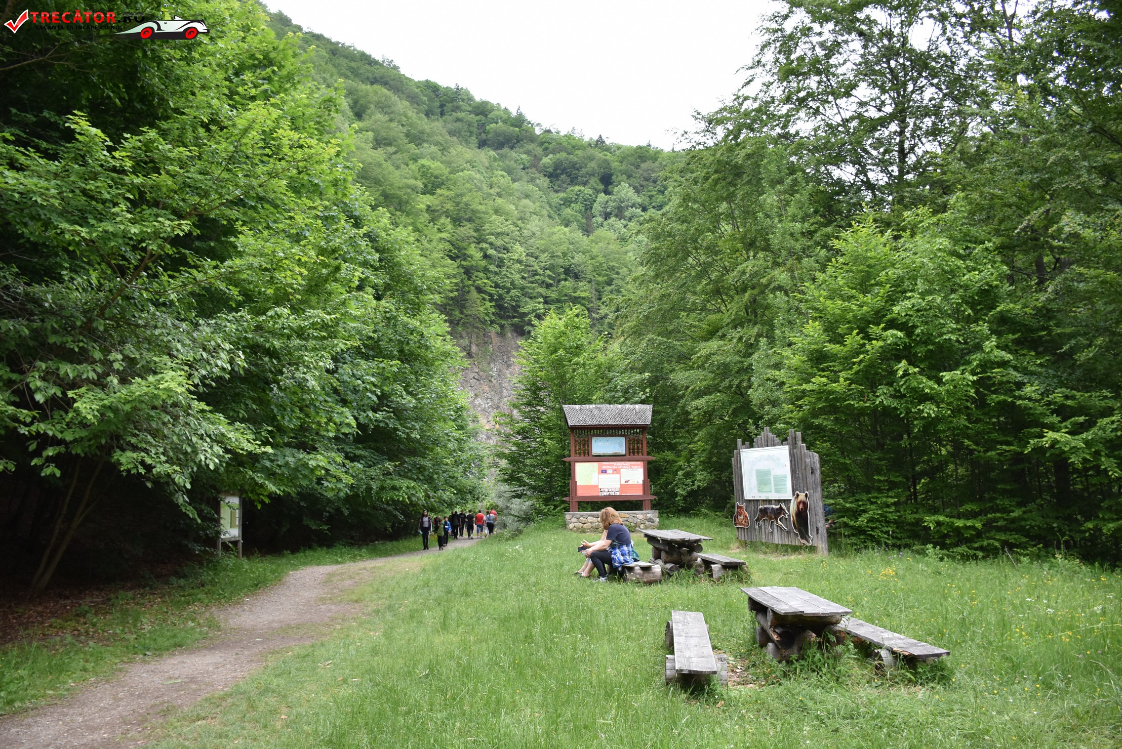 Rezervatia Naturala Tisita | Obiective turistice de văzut și vizitat