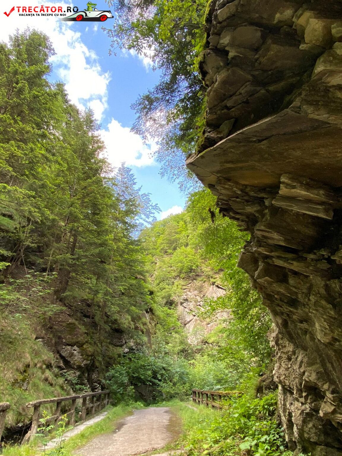 Rezervatia Naturala Tisita | Obiective turistice de văzut și vizitat