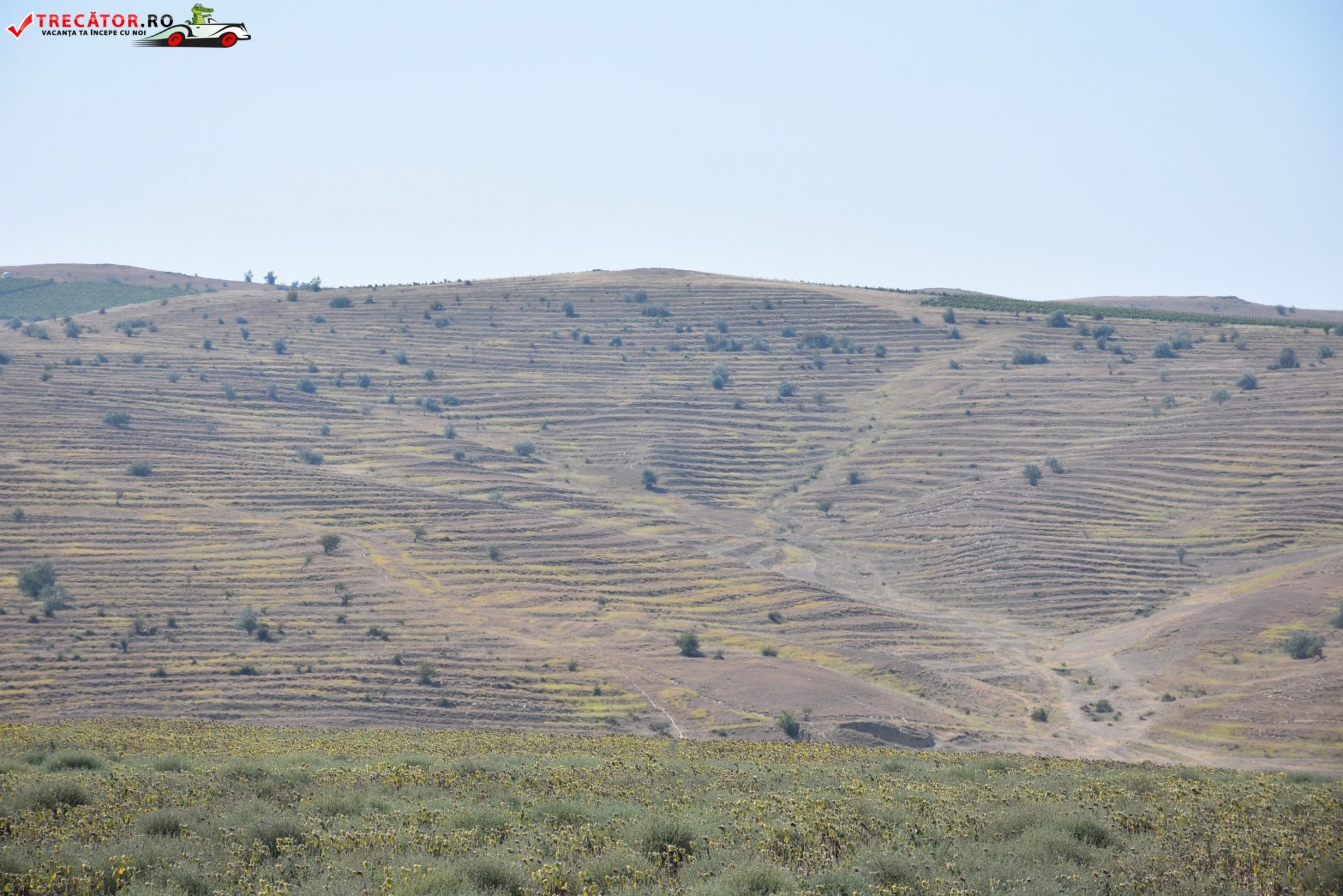 Rezervatia naturala Magurele – Obiective turistice de văzut și vizitat