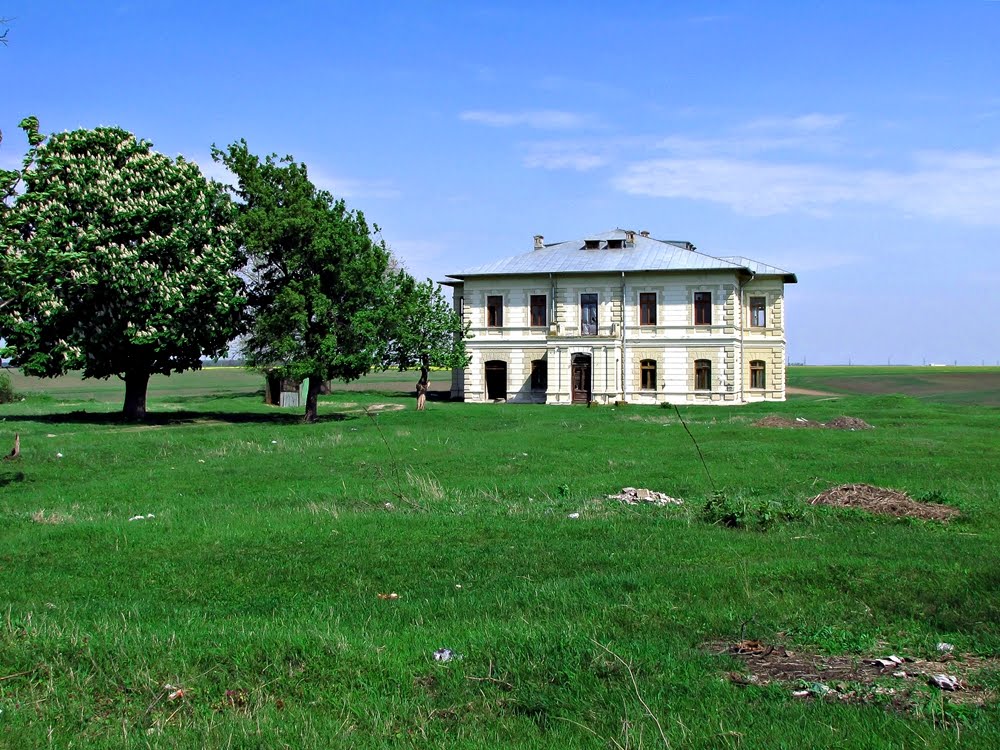 Conacul Marghiloman – Obiective turistice de văzut și vizitat