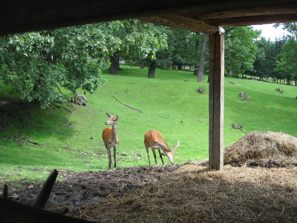 Parcul Natural Vânători Neamţ – Obiective turistice de văzut și vizitat