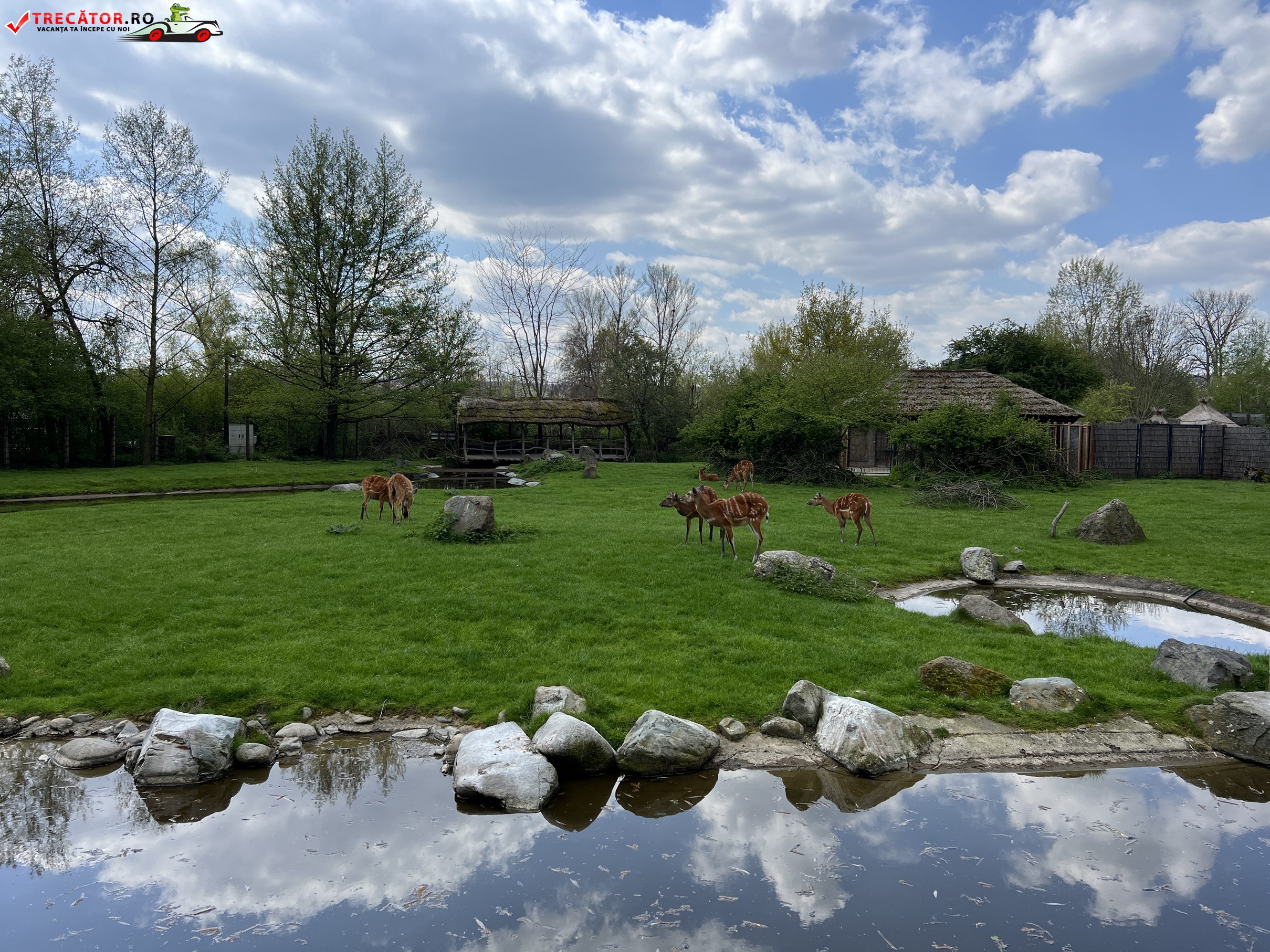 Grădina Zoologică din Praga – Obiective turistice de văzut și vizitat