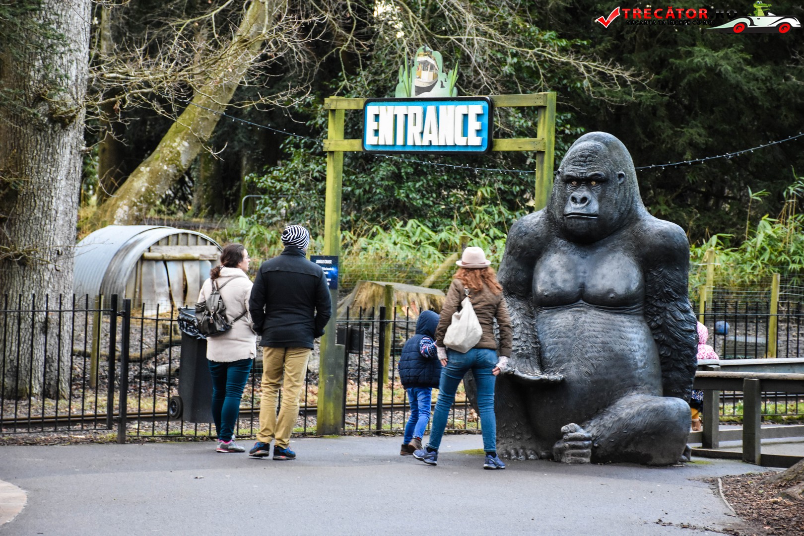 Longleat Safari Parc, Anglia – Obiective turistice de văzut și vizitat