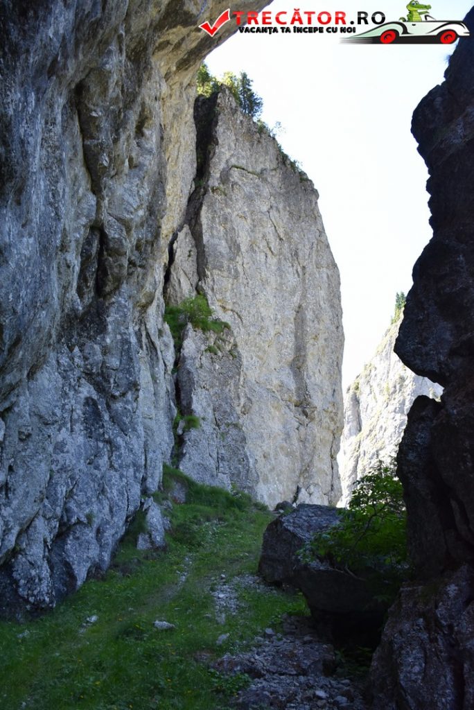 Cheile Tătarului – Obiective turistice de văzut și vizitat