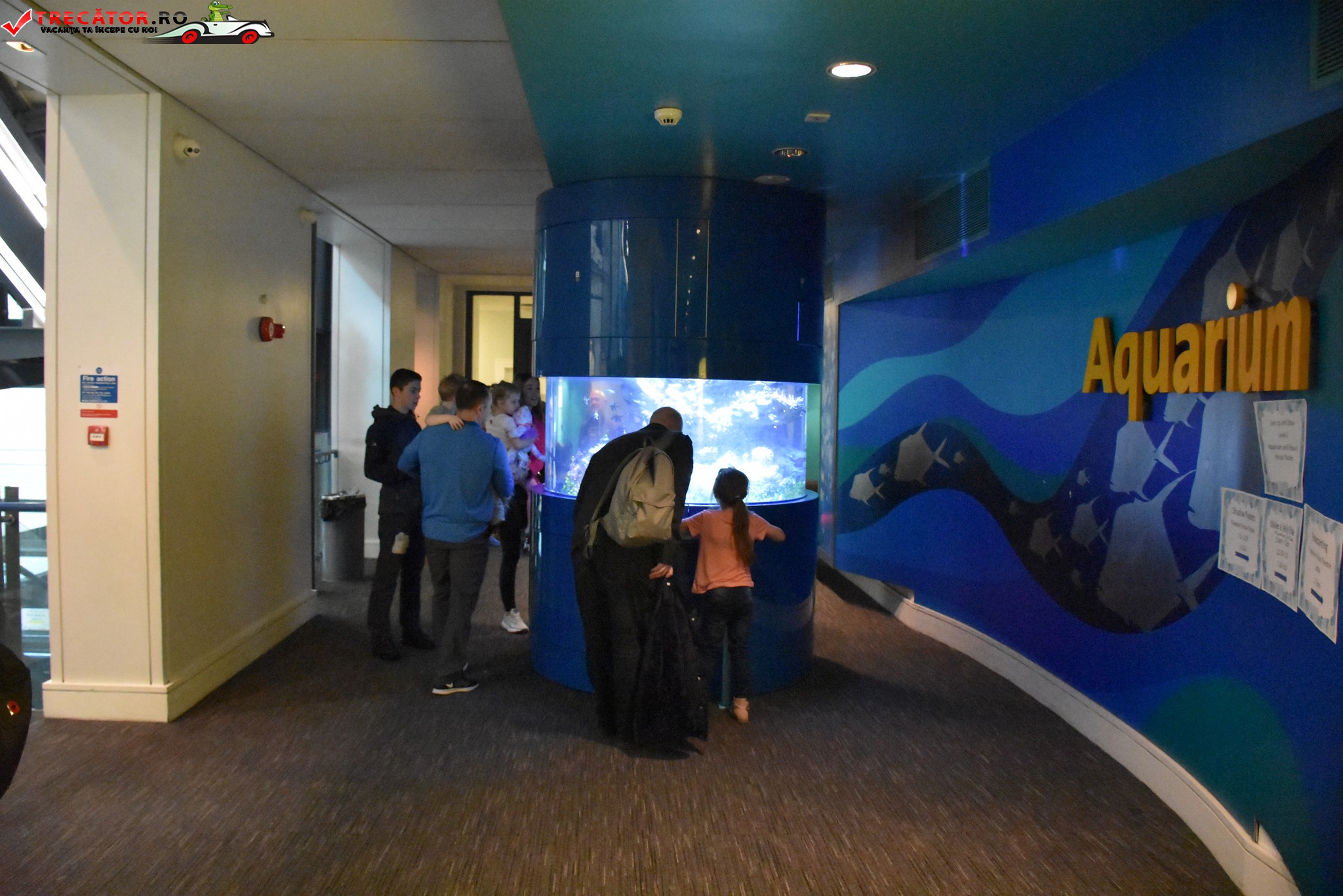 World Museum Liverpool, Anglia – Obiective turistice de văzut și vizitat