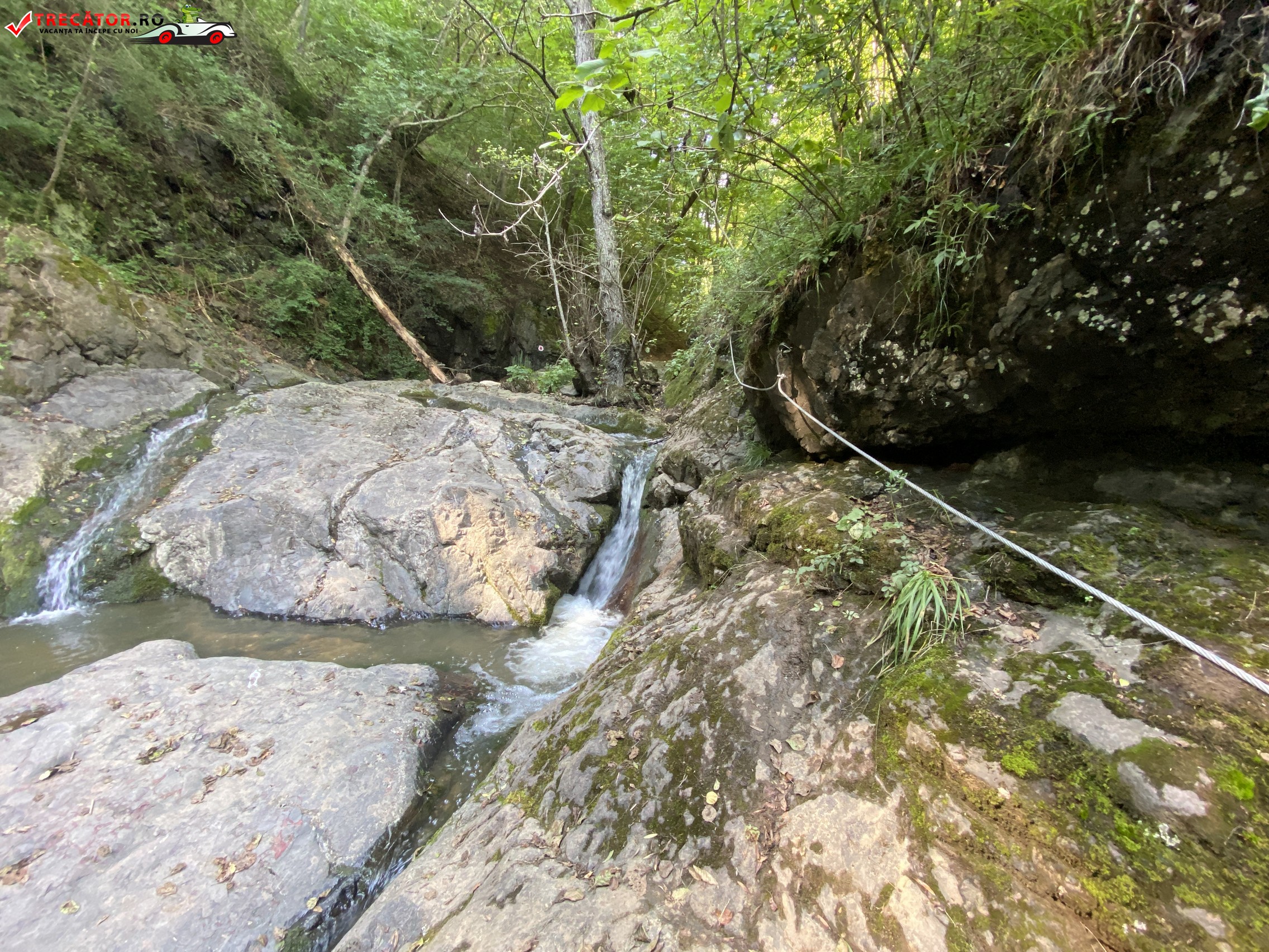 Cheile Borzești – Obiective turistice de văzut și vizitat