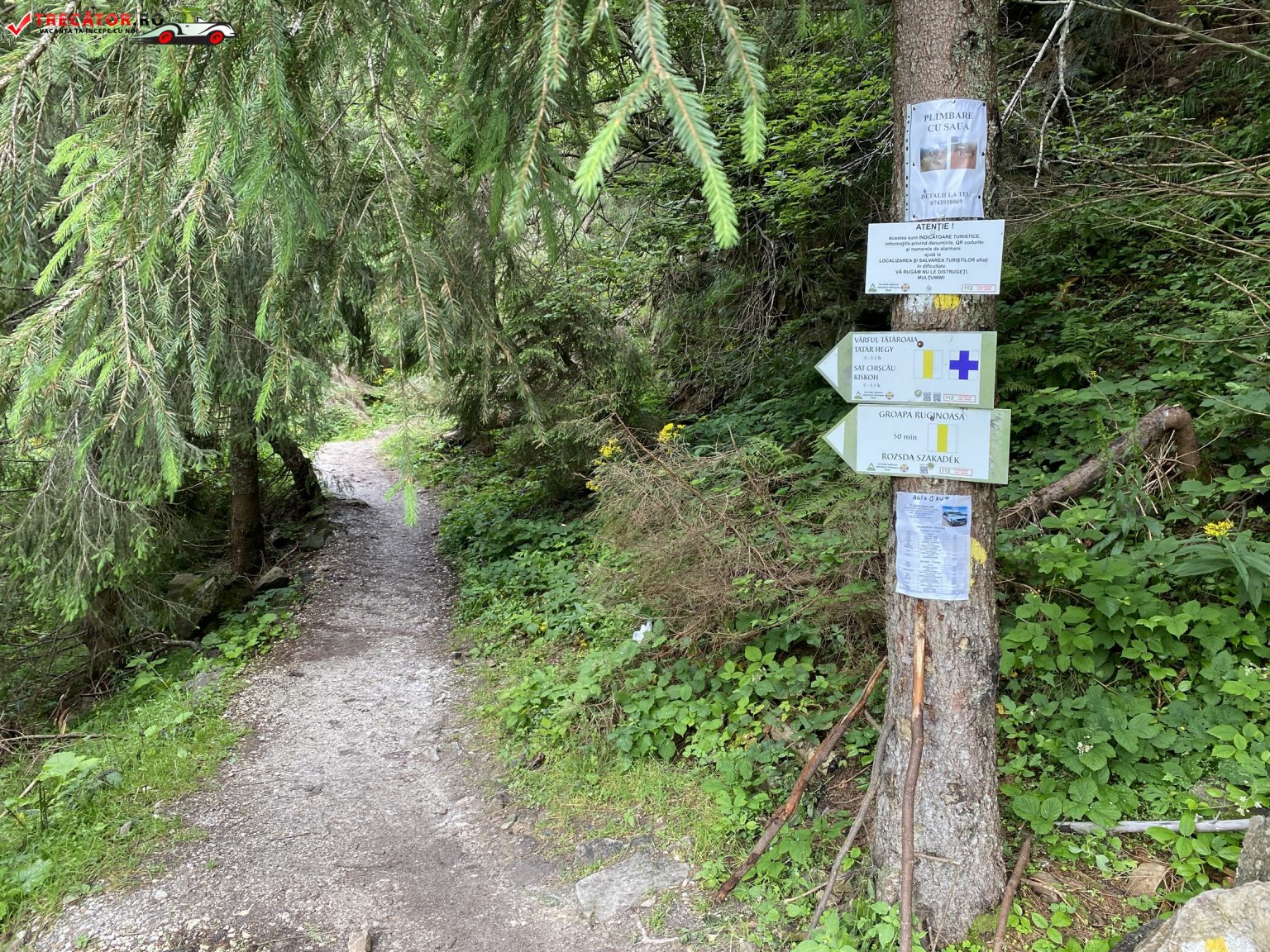 Groapa Ruginoasa – Valea Seacă, Vârtop – Obiective turistice de văzut ...