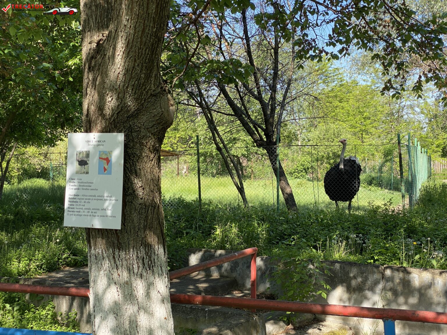 Grădina Zoologică din Călărași – Obiective turistice de văzut și vizitat