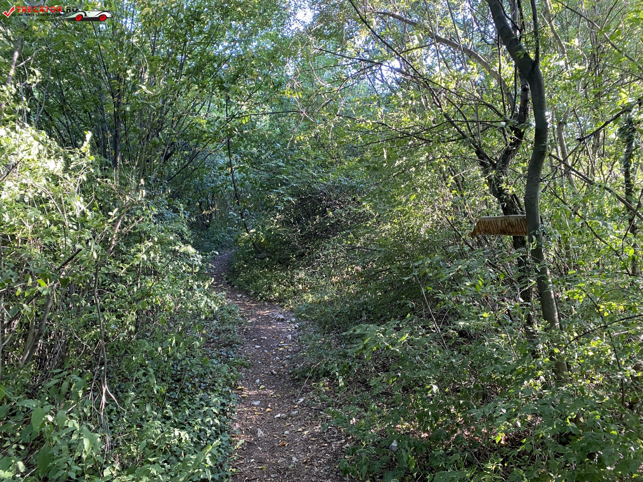 Turnul Crivadia – Obiective turistice de văzut și vizitat