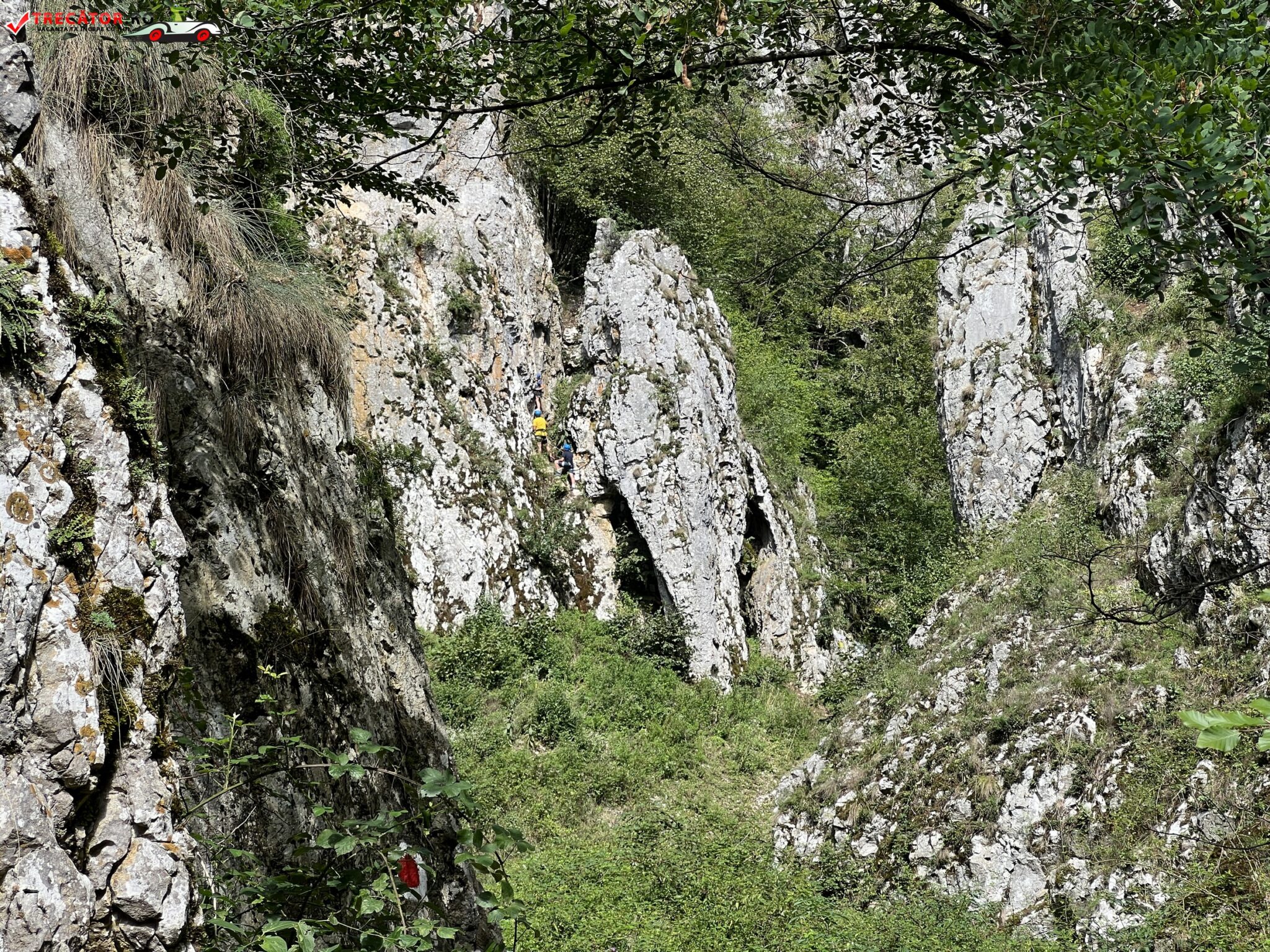 Cheile Cuților – Obiective turistice de văzut și vizitat