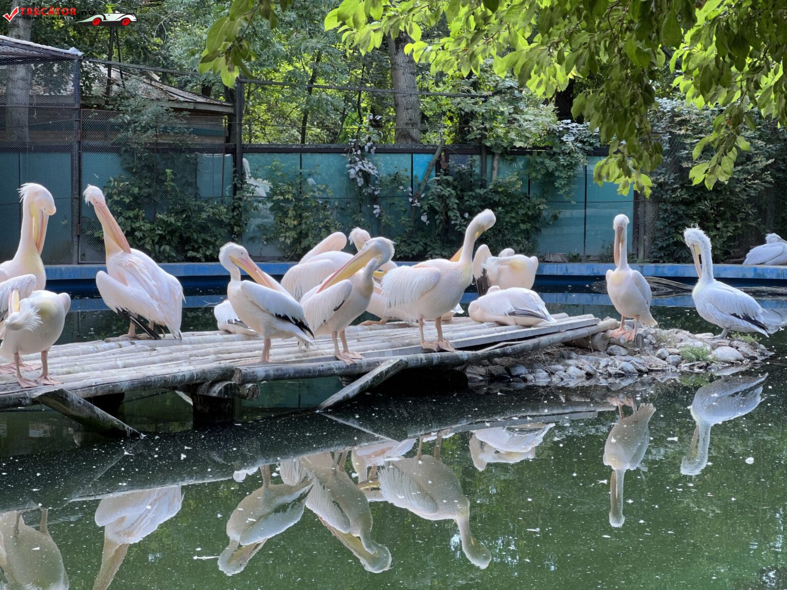 Grădina Zoologică Bucureşti – Obiective turistice de văzut și vizitat