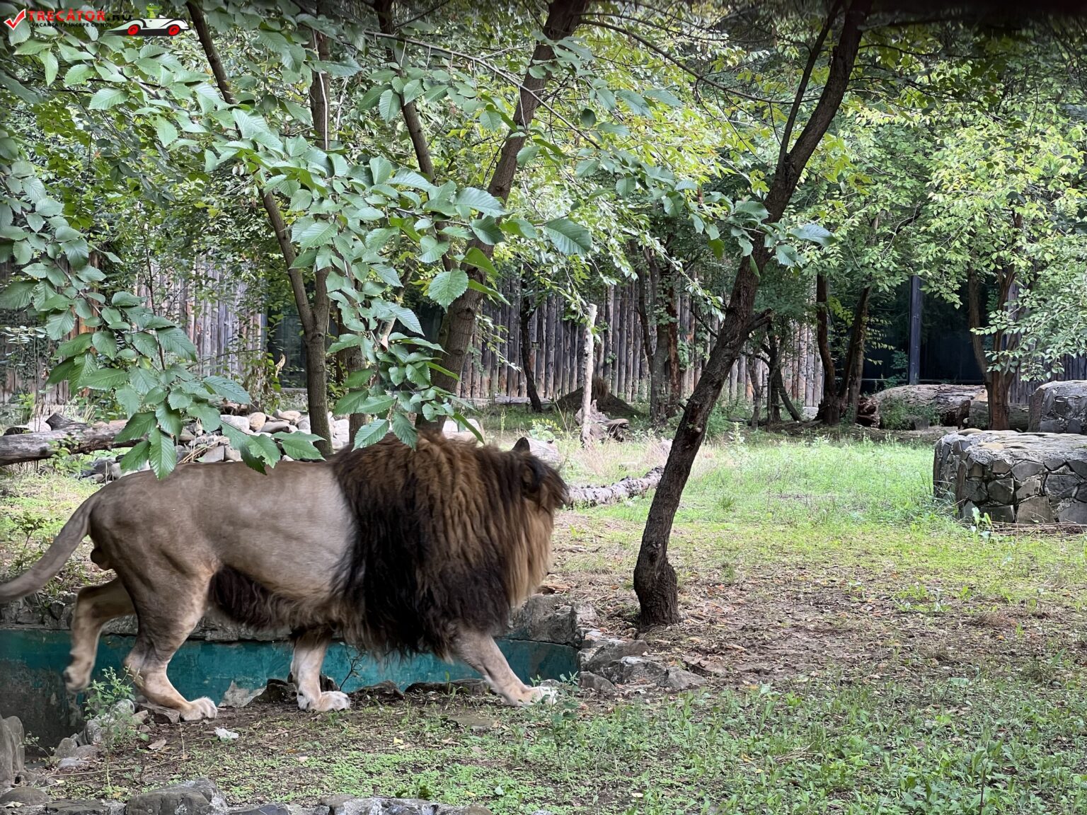 Grădina Zoologică Bucureşti – Obiective turistice de văzut și vizitat