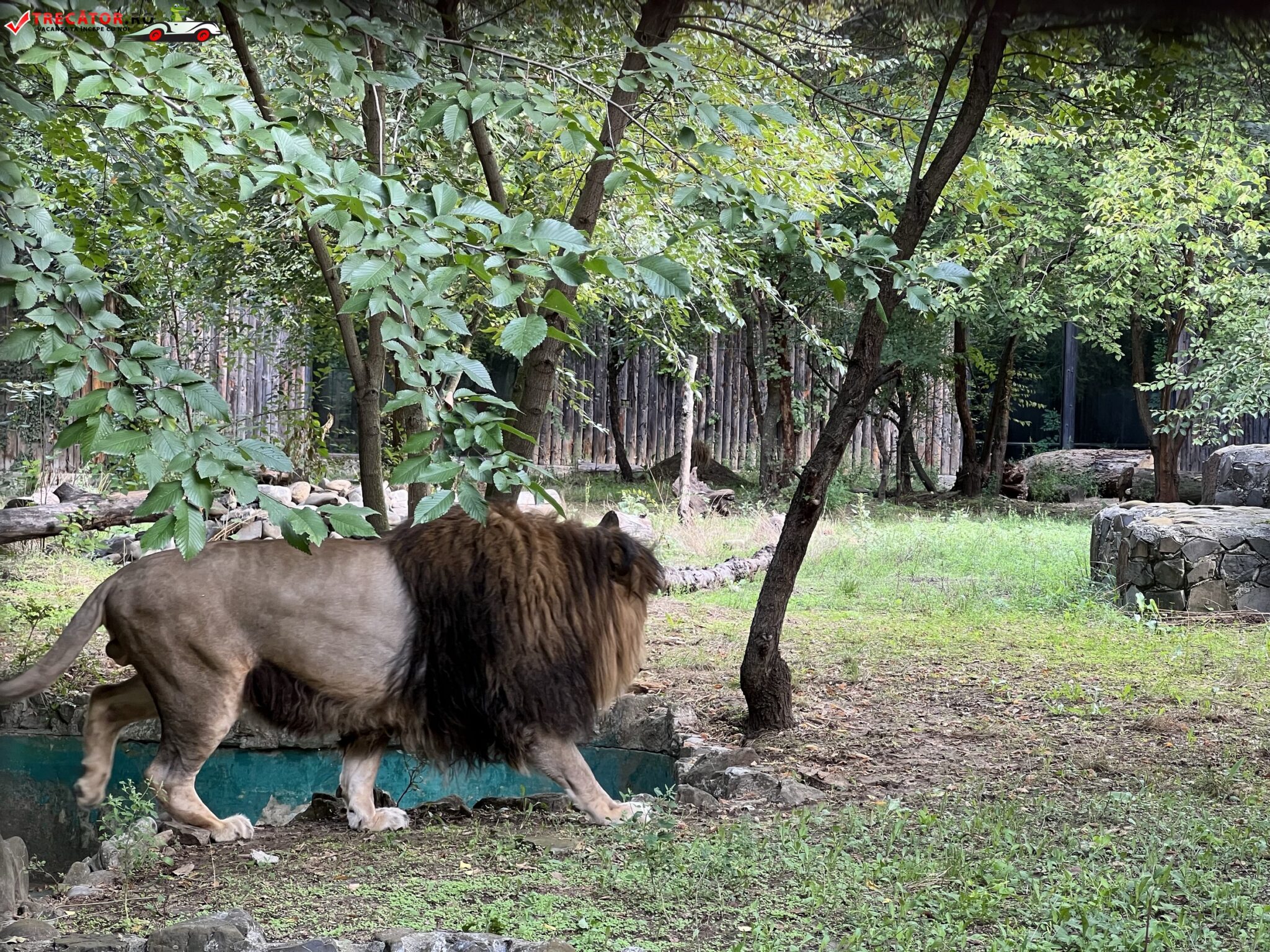Grădina Zoologică Bucureşti – Obiective turistice de văzut și vizitat