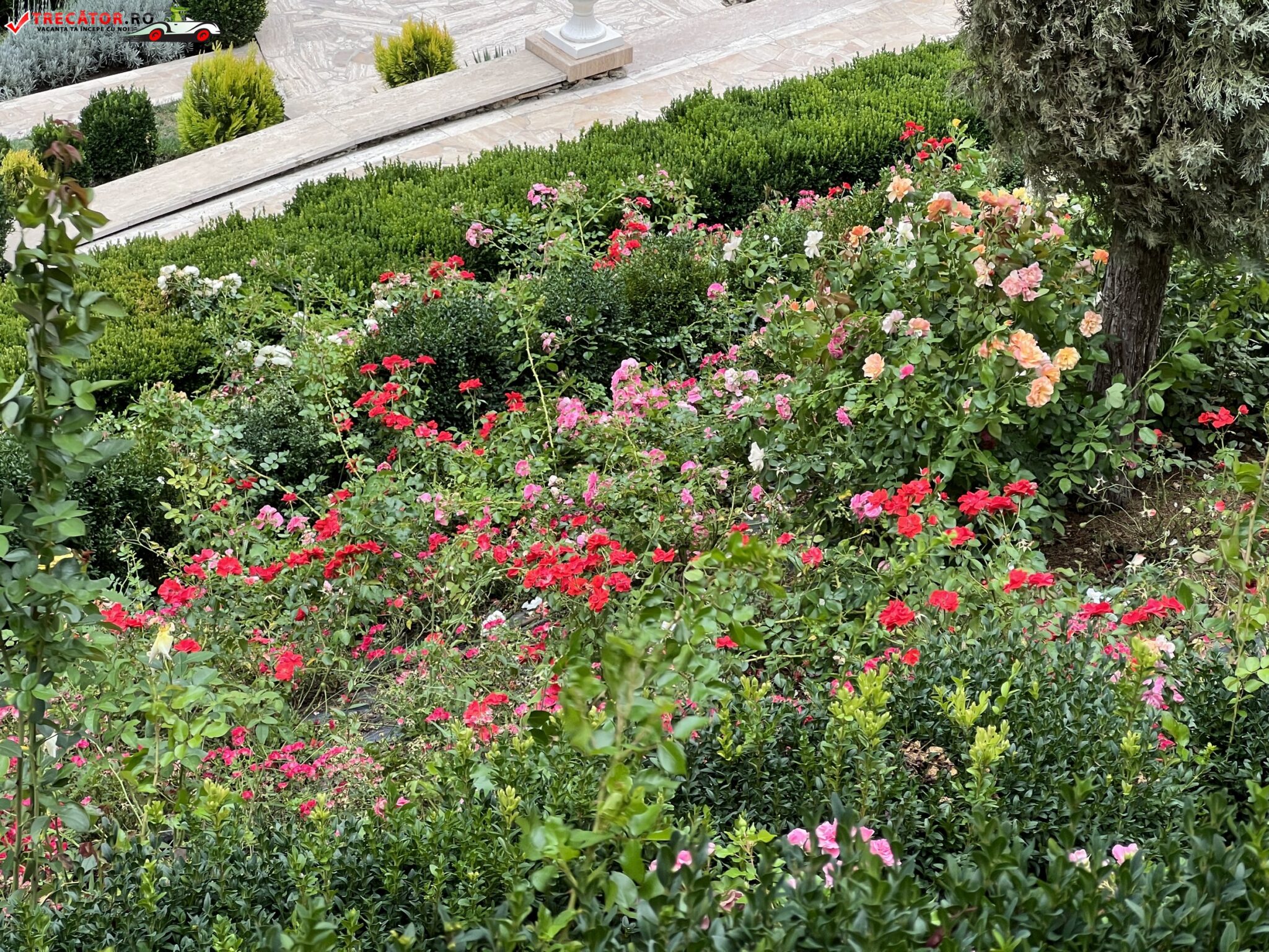 I Giardini di Zoe sau Grădina de la Banpotoc – Obiective turistice de ...