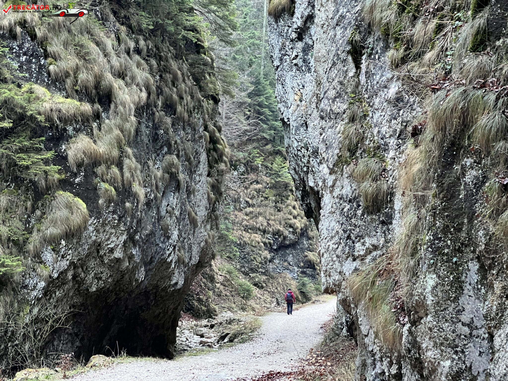 Prăpăstiile Zărneștiului sau Cheile Zărneștiului – Obiective turistice ...