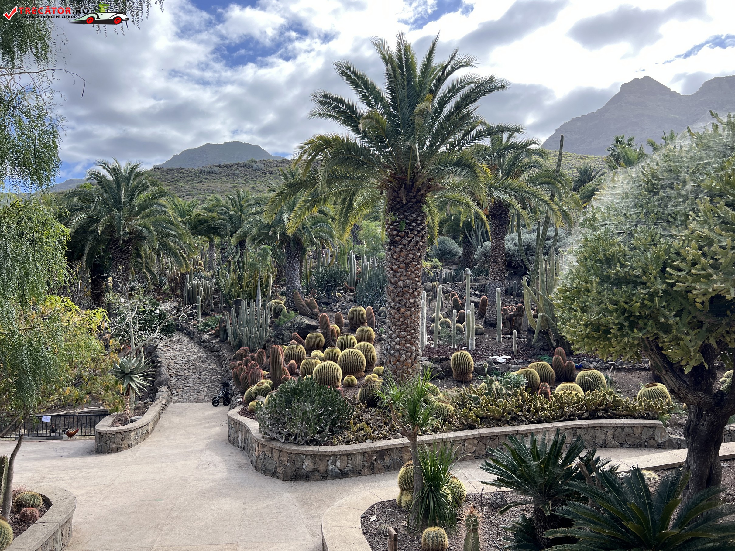 Parcul de cactuși, Cactualdea, Gran Canaria, Spania – Obiective ...