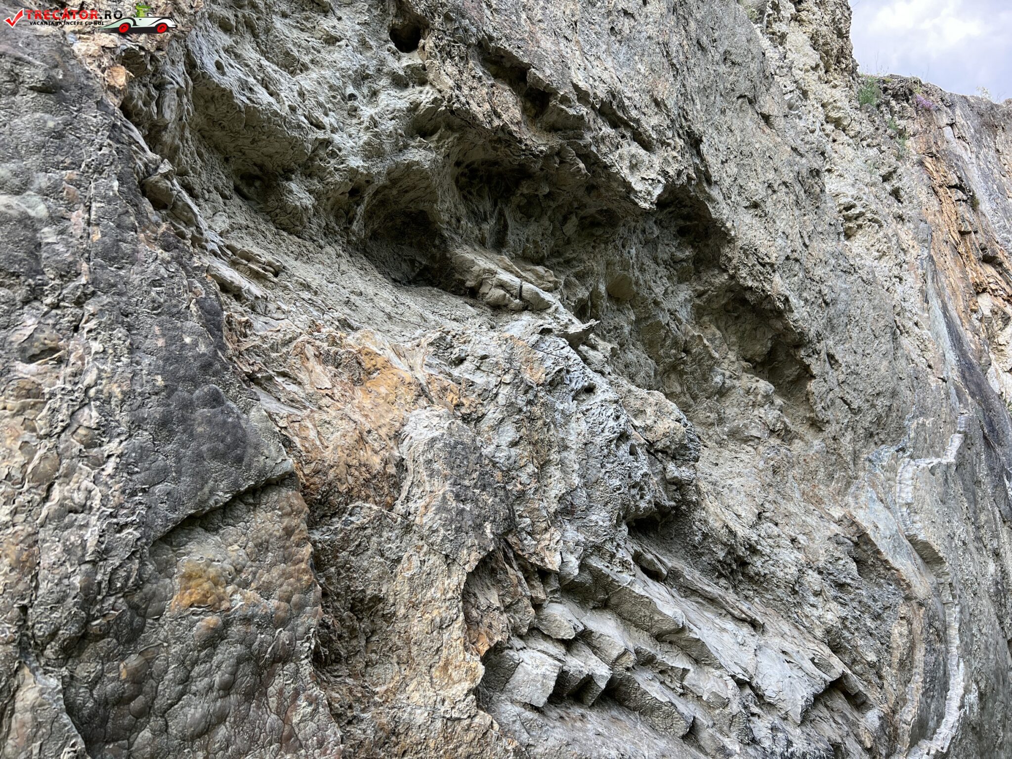 Rezervația geologică Dealul Melcului din Corund – Obiective turistice ...