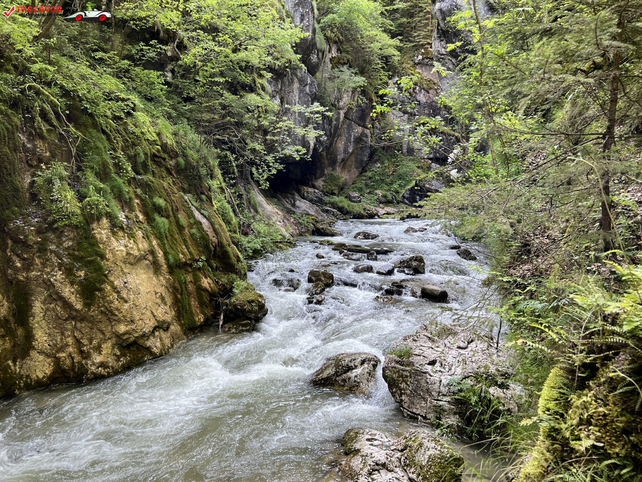 Cheile Buții – Obiective turistice de văzut și vizitat