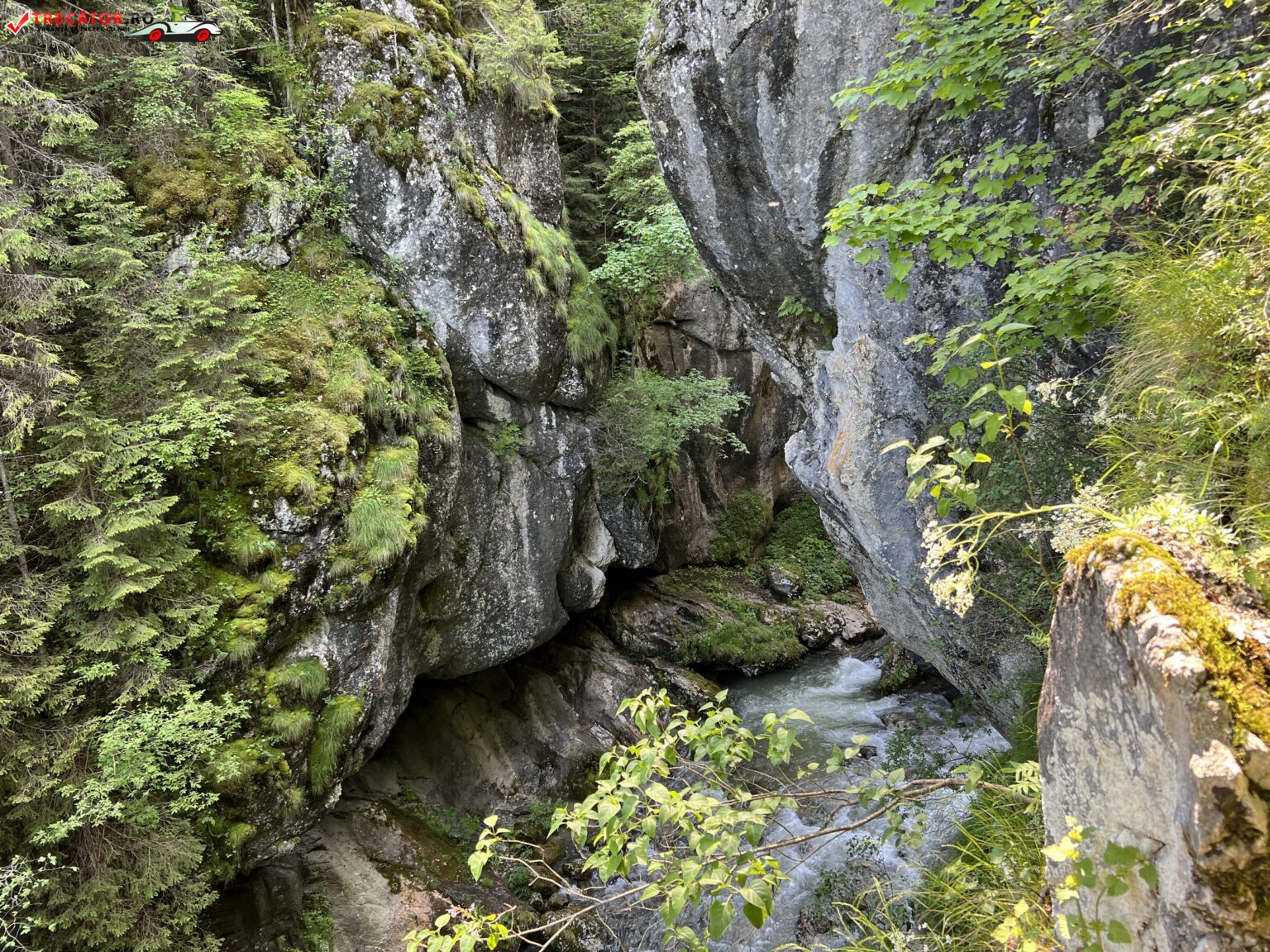 Cheile Buții – Obiective turistice de văzut și vizitat