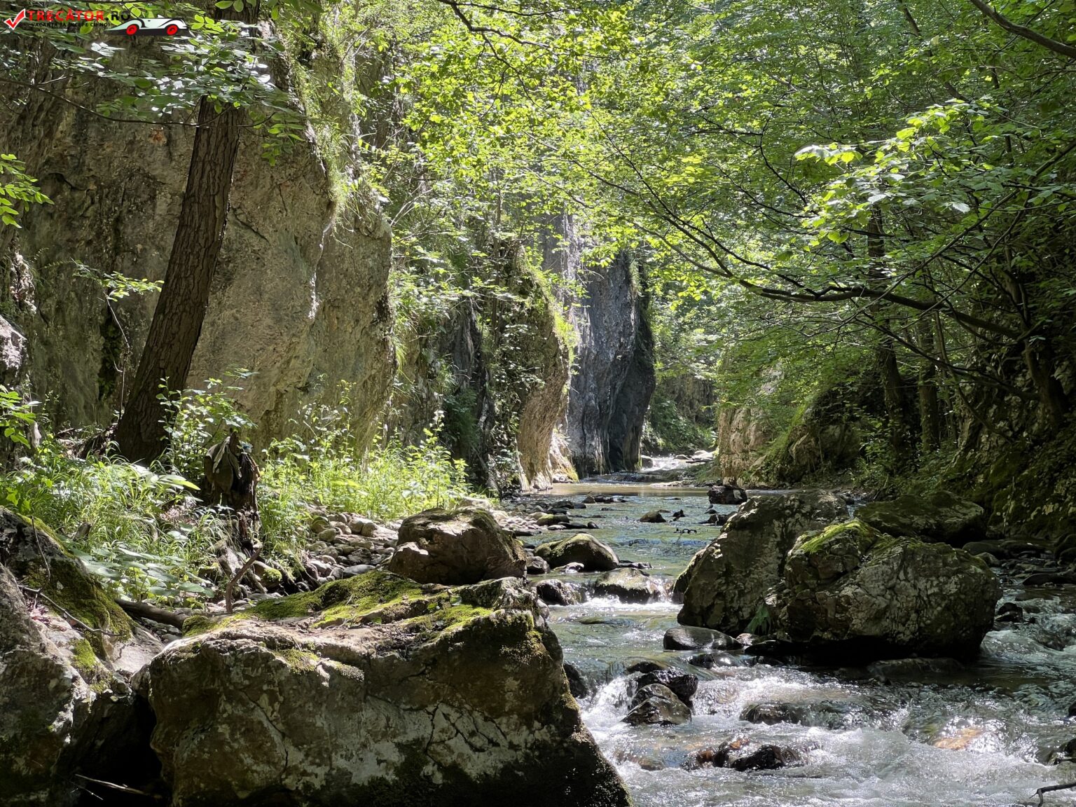 Cheile Crivadiei – Obiective turistice de văzut și vizitat