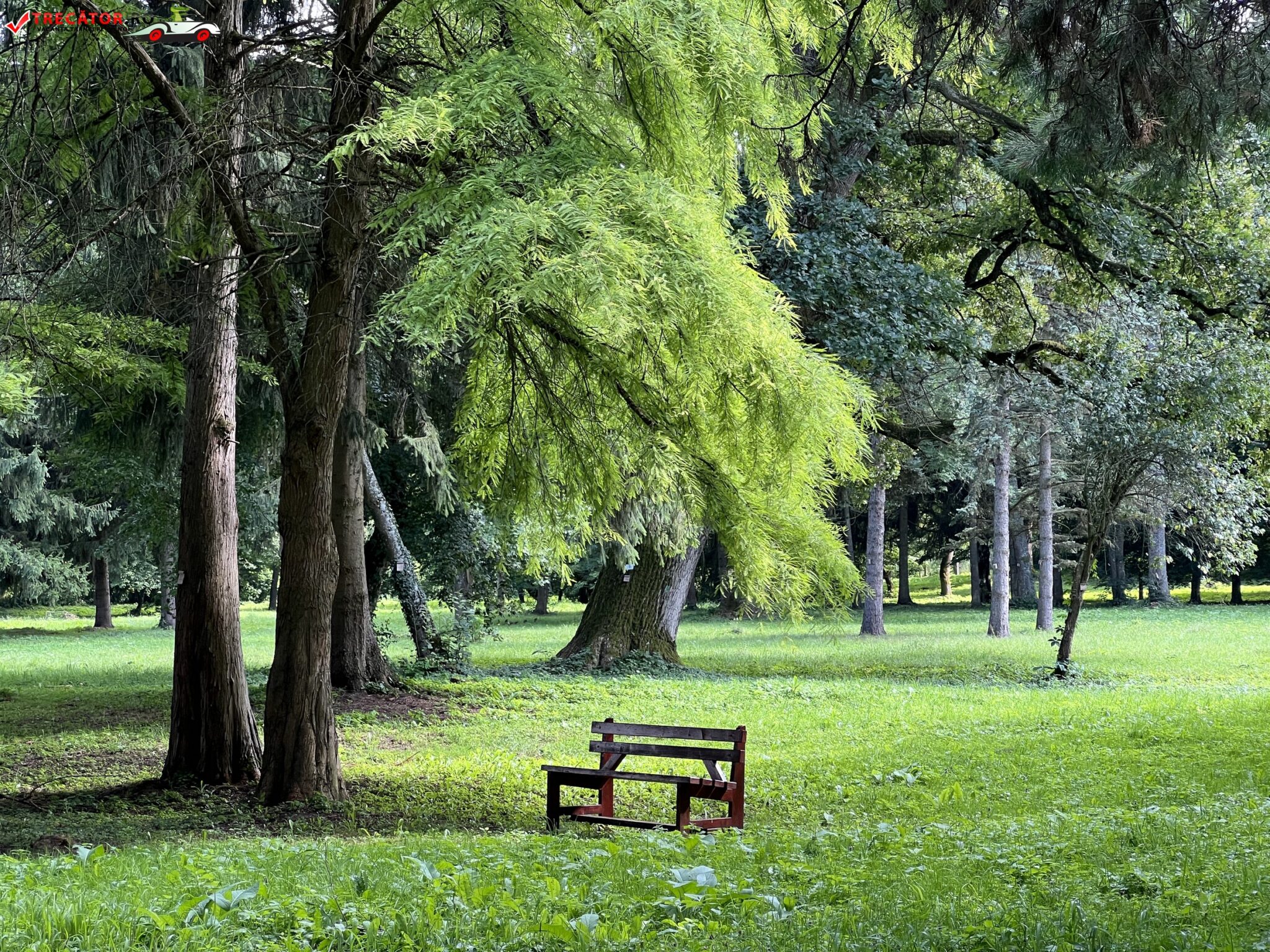 Castelul Arcalia – Obiective turistice de văzut și vizitat