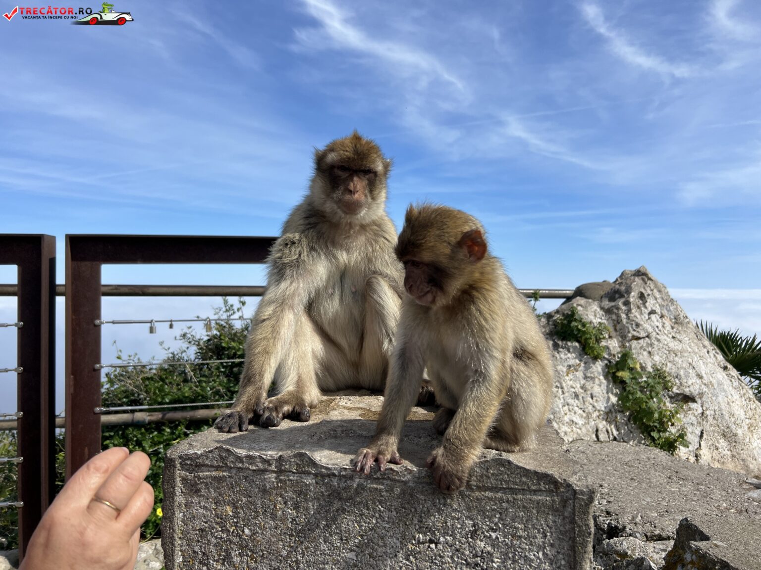 Ce poți vizita în Gibraltar. Iată cele mai frumoase obiective turistice ...