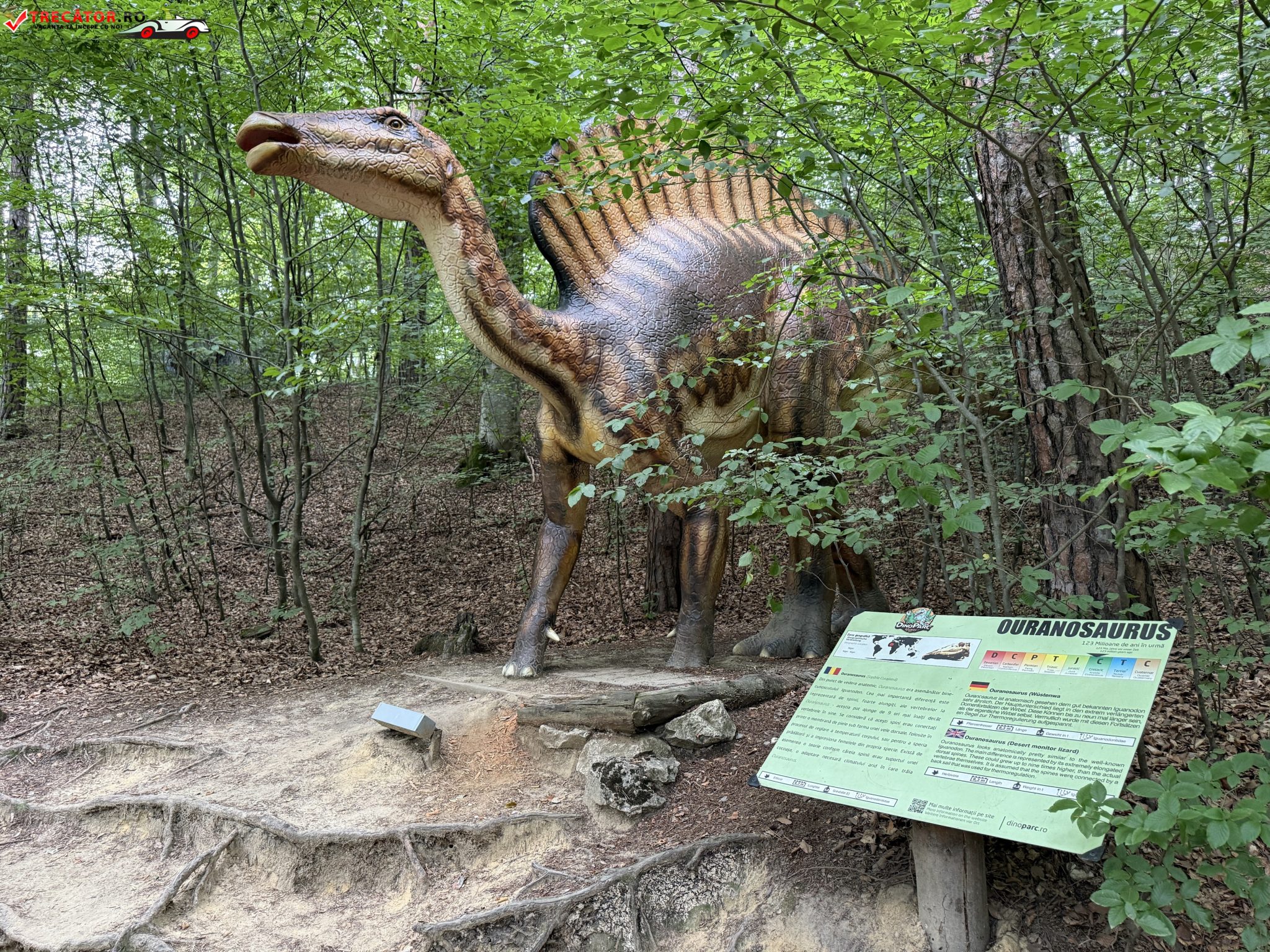 Dino Parc Râșnov, Brașov, România – Obiective turistice de văzut și vizitat